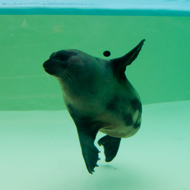 Texel, vacation in my own country | Anita van Hengel